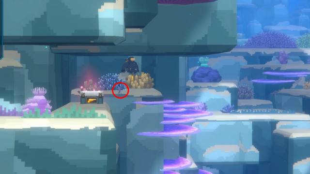 Guide des emplacements des hippocampes de Dave the Diver – GameSkinny