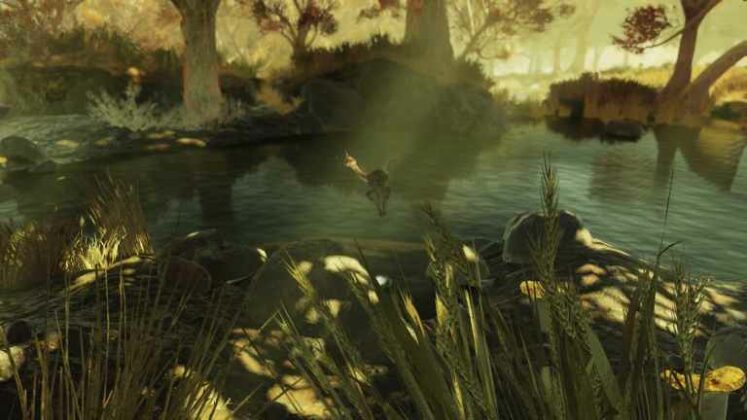 Lieux d'apparition de Fallout 76 Stingwing