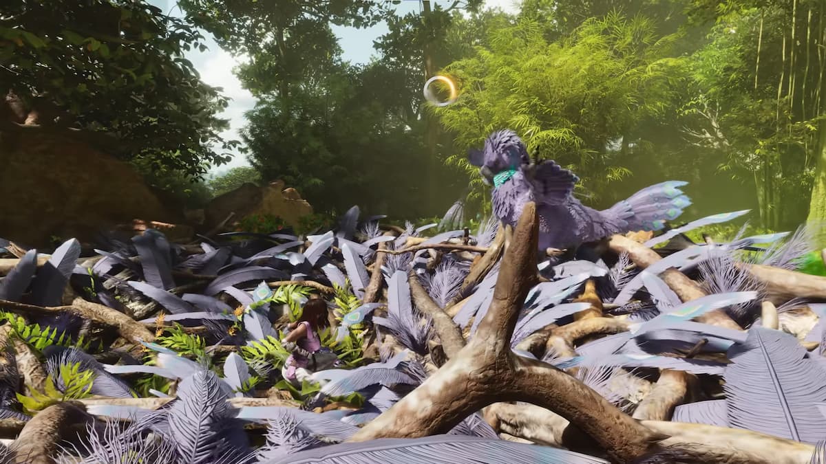 Ark Survival Ascended Gigantoraptor Spawn Command – astucejeuxps4.com